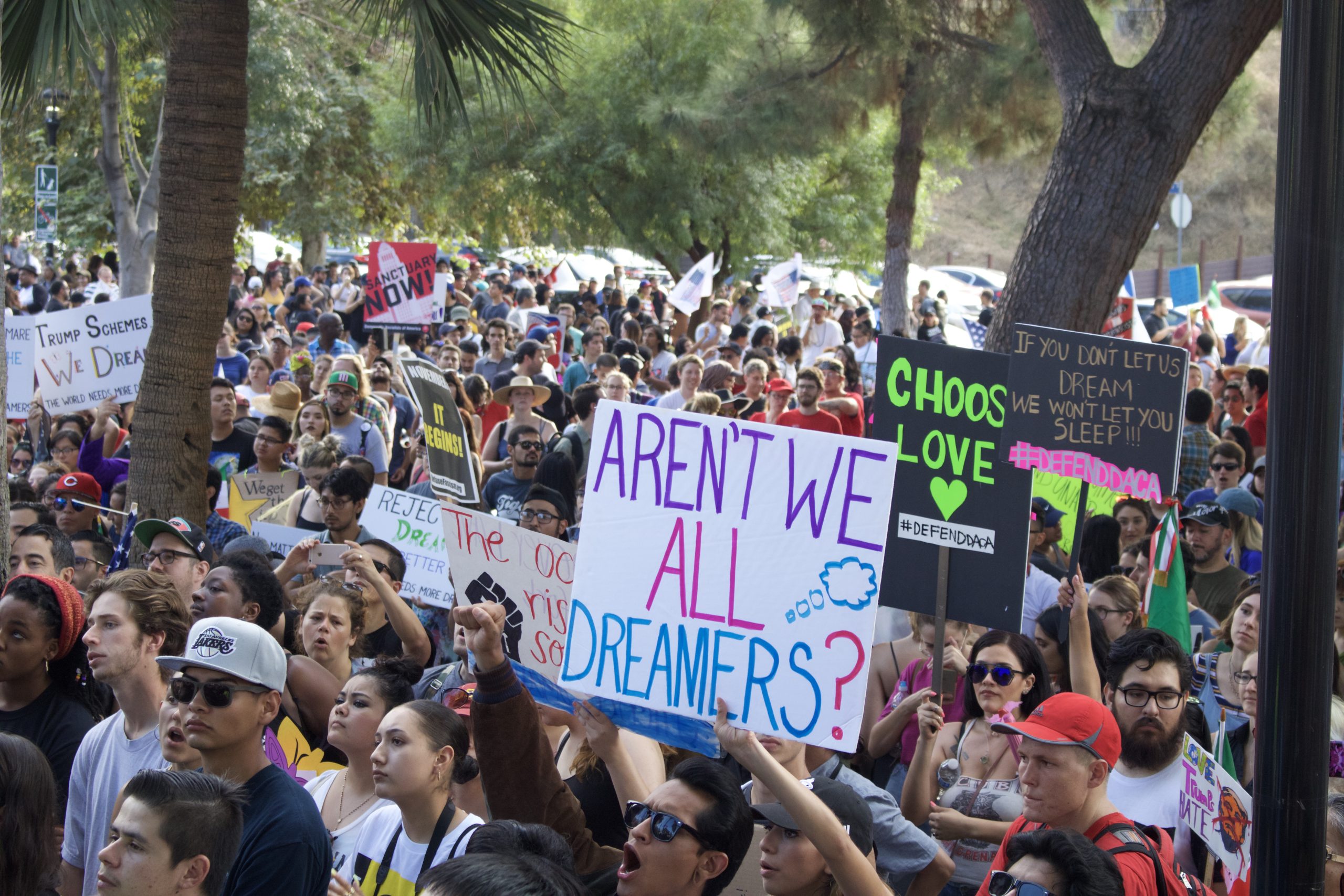 Looking for legal aid and other immigration resources? We've got a list